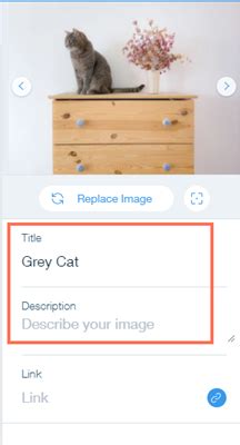 Wix Pro Gallery Adding And Customizing Text Help Center Wix
