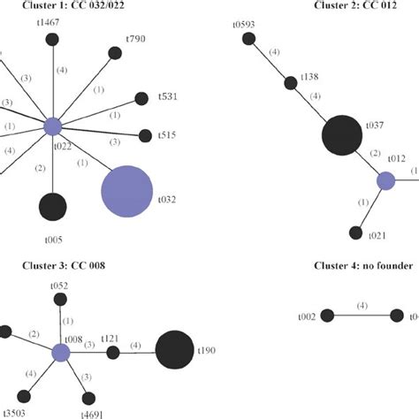 based upon repeat pattern burp analysis of the spa types identified