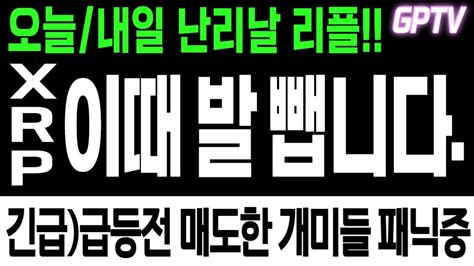 진짜 리플 엑스알피 전망 💥 오늘내일 난리날 리플 Xrp 이때 발 뺍니다 긴급 급등전 매도한 개미들 패닉중 Youtube