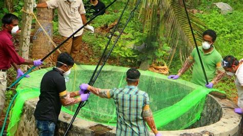 How Doctors Saved Lives In Nipah Virus Affected Areas
