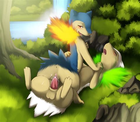 Post 727191 Darkmirage Porkyman Typhlosion