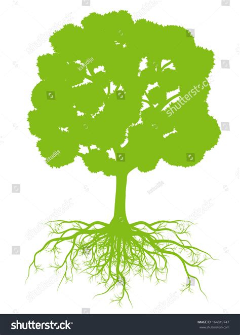 Tree Roots Background Ecology Vector Concept Stock Vector Royalty Free Shutterstock