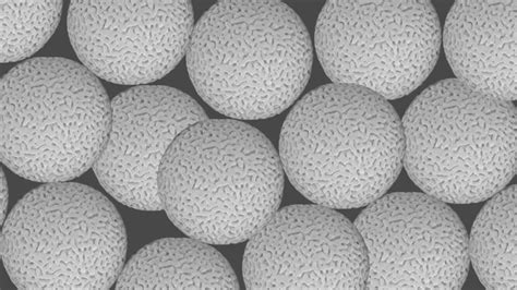 Packing A Column Chromatography At Max Redfern Blog