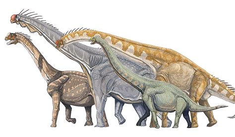 Skin Bones Could Have Helped Large Dinosaurs Survive Earth Earthsky