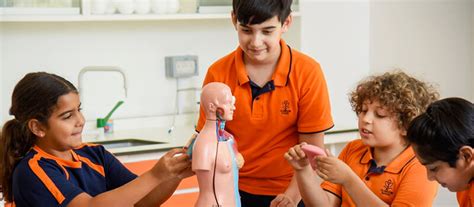 What Does A Progressive Classroom Look Like