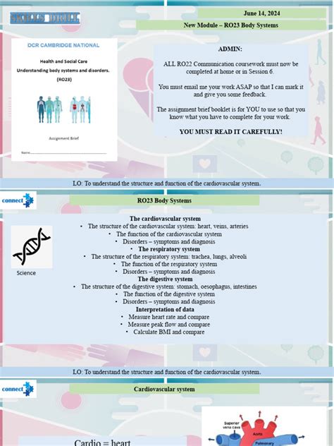 Cardiovascular System Structure And Function Hsc Download Free Pdf