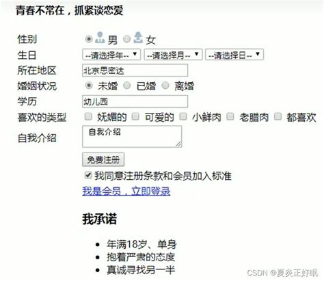html设计表单 html绘制表单 csdn博客