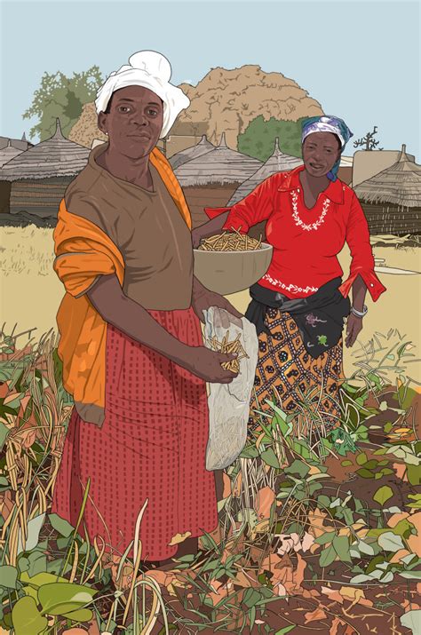 Jonathan Allardyce Lifestyle Illustrator Aberdeenshire Uk