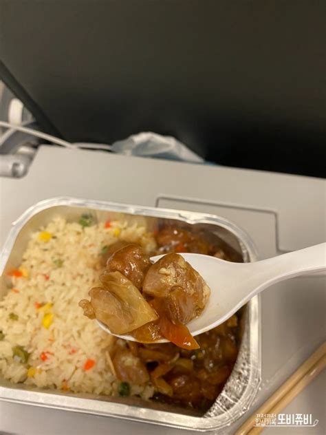 호주 티웨이 시드니 탑승 및 기내식 좌석 등 후기 시드니 호주 입국심사 팁 네이버 블로그