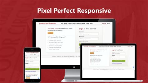 Custom Web Development Services Company Smartdata