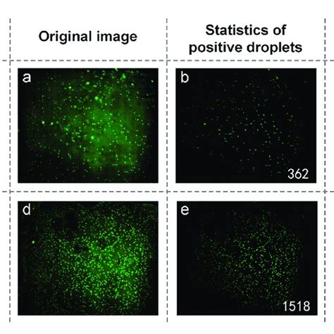 Flow Chart Of Dpcr System Download Scientific Diagram