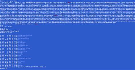 Websphere Application Server Generating Heapdumps And Thread Dumps In Was