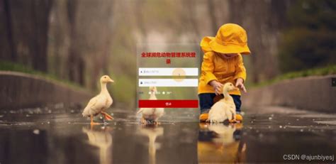 java php net python 全球濒危动物管理系统 年毕设 CSDN博客