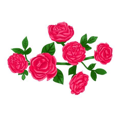 분홍색 꽃 효과 일러스트 도 손으로 그린 분홍 꽃들 Png 일러스트 및 Psd 이미지 무료 다운로드 Pngtree