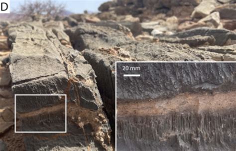 Scientists Discover Unknown Lifeform They Are Unable To Explain