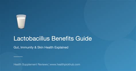 Lactobacillus Benefits 6 Science Backed Health Effects【2026】 Health