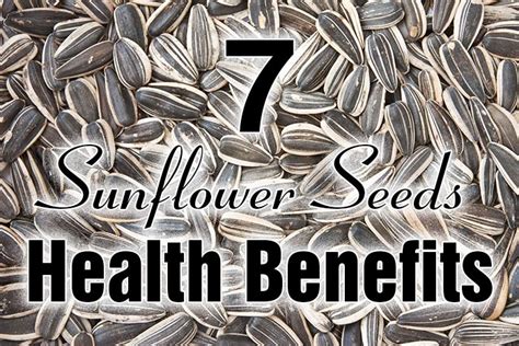 7 Sunflower Seeds Health Benefits Healthy Focus
