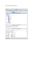 CISC Final Exam Question Pdf CISC Final Exam Question Course Hero