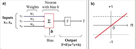 A Simplified Illustration Of A Neuron And B Of A Linear Transfer