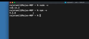Add Firebase SDK Via NPM JavaScript