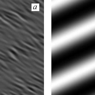 Contrast Modulated Texture A And The Map Of The Modulation Amplitude Download Scientific
