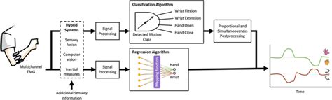 Of The Most Clinically Advanced Myoelectric Approaches Classification Download Scientific
