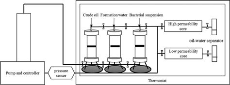 Schematic Diagram Of The Experimental Setup For Core Flooding Experiments Download Scientific