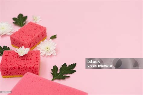 일부 폴리우레탄 스폰지 흰 꽃과 녹색 잎 파스텔 핑크 배경 텍스트에 대 한 빈 공간에 고립 된 누워 0명에 대한 스톡 사진 및 기타 이미지 Istock