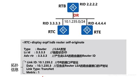 1 2 1 router lsa router lsa csdn博客