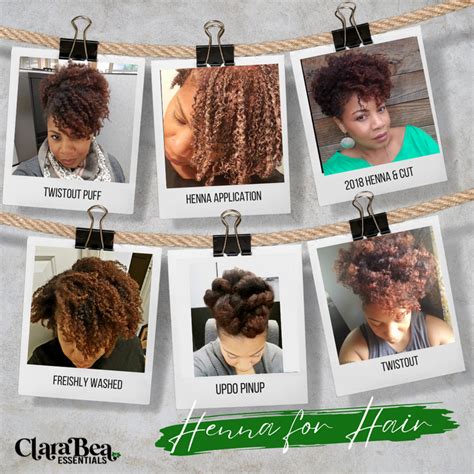 Clara Bea Essentials