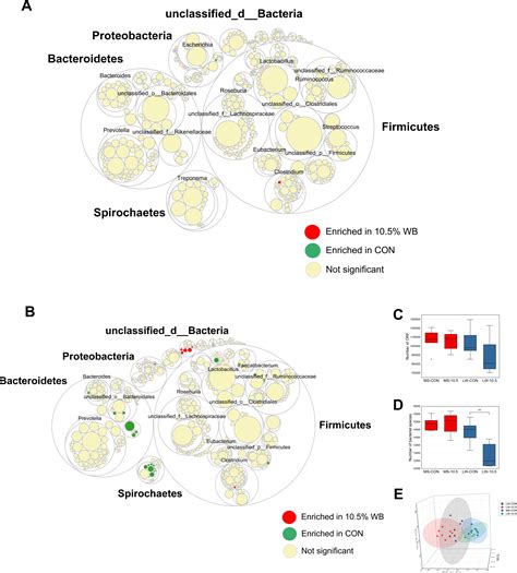 Interactions Between Gut Microbes And Host Promote Degradation Of