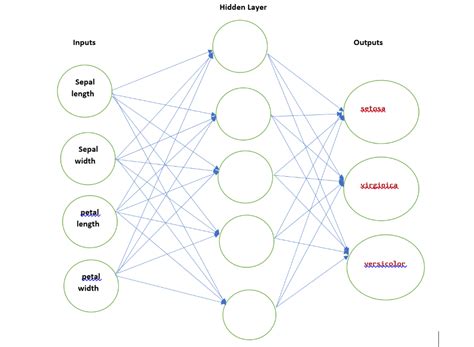 Solved Write Python Program To Classify The Different Species Of The