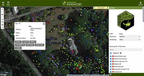 The Benefits Of Tree Inventory Mapping • Climbinghi