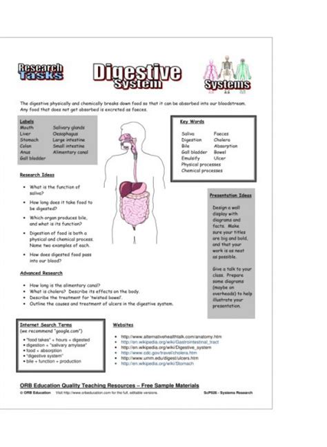 Systems Research Orb Education Australia