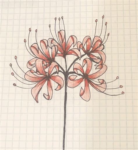Red Spider Lily By Z4ta209 On Deviantart