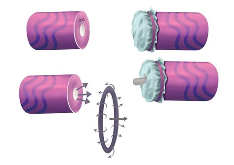 Air Cannon Funky Physics Experiments Sawan Books