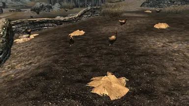 Farm Wheat Height Fix At Skyrim Nexus Mods And Community