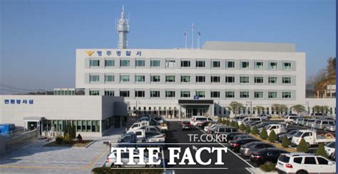 영주서 70대 여성 오토바이에 치여 사망 전국 기사 더팩트