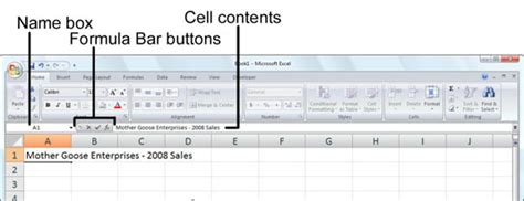 Figuring Out The Excel 2007 Formula Bar Dummies