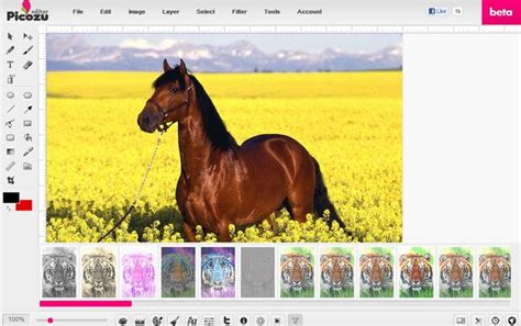 Picozu Soft Apps