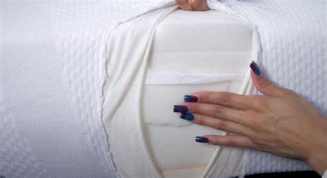 Tempur Pedic Vs Sealy Cocoon Mattress Comparison Mattress Nerd