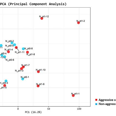 Unsupervised Hierarchical Clustering Analysis Red High Relative Download Scientific Diagram