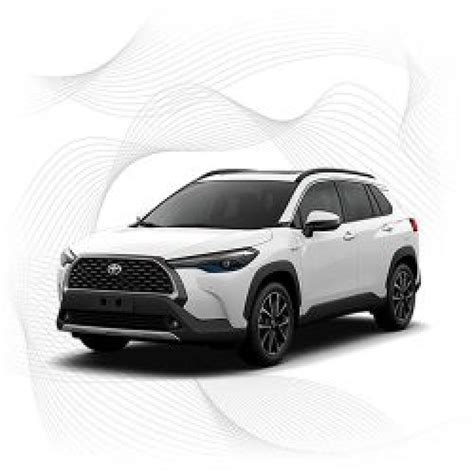 Molduras Chicote Nimus