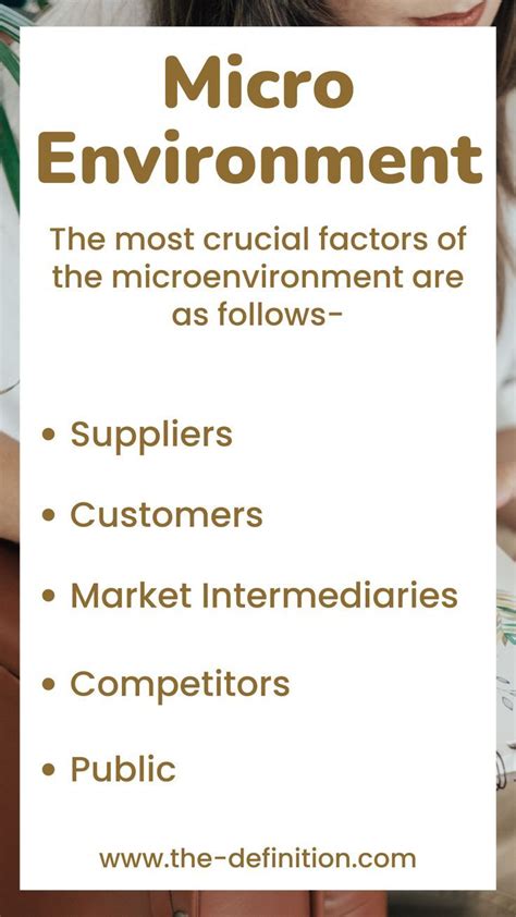 Micro Environment Market Environment Environment Business