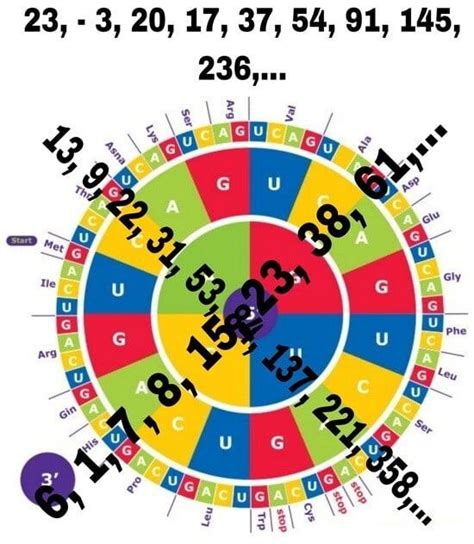 Tidjani Négadi On Linkedin Revealing The Genetic Code Symmetries