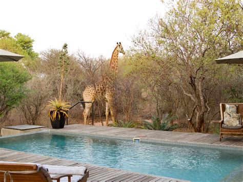 The Lazy Leopard Lodge Rates Escape To The Country