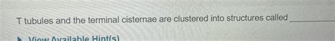 Solved T Tubules And The Terminal Cisternae Are Clustered