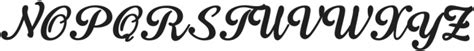Oraghon Script Regular Otf 400 Font Script Decorative What Font Is