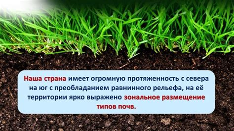 Презентация по теме Основные зональные типы почв их свойства 8 класс Материал подготовила