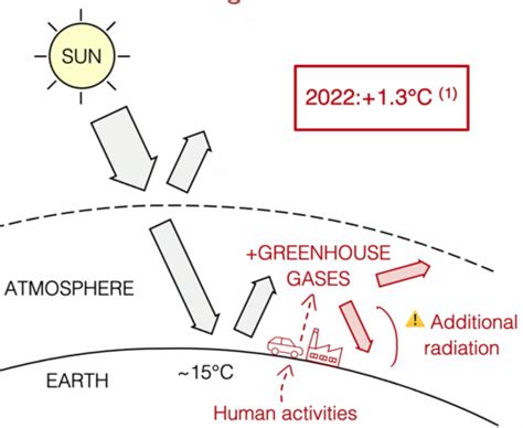 Edms Quiz 3 Flashcards Quizlet